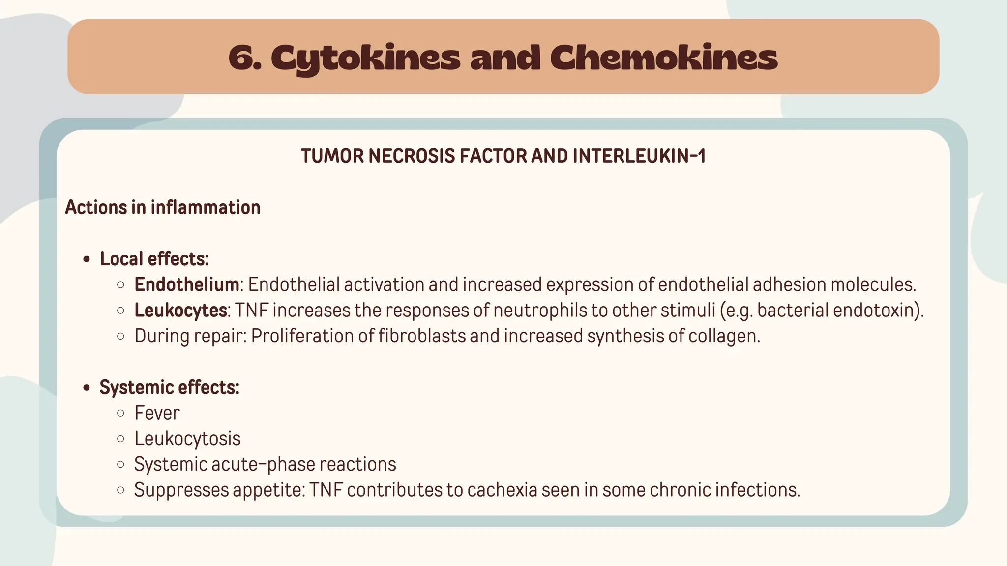 ACUTE INFLAMMATION - CAUSES, MECHANISMS, CARDINAL SIGNS, VASCULAR AND ...