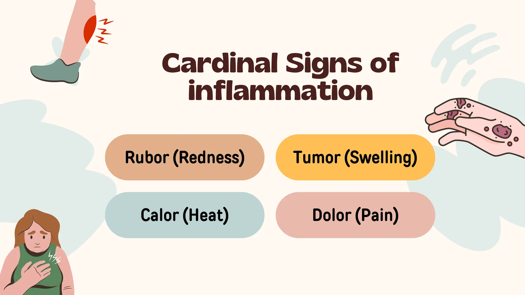 ACUTE INFLAMMATION - CAUSES, MECHANISMS, CARDINAL SIGNS, VASCULAR AND ...