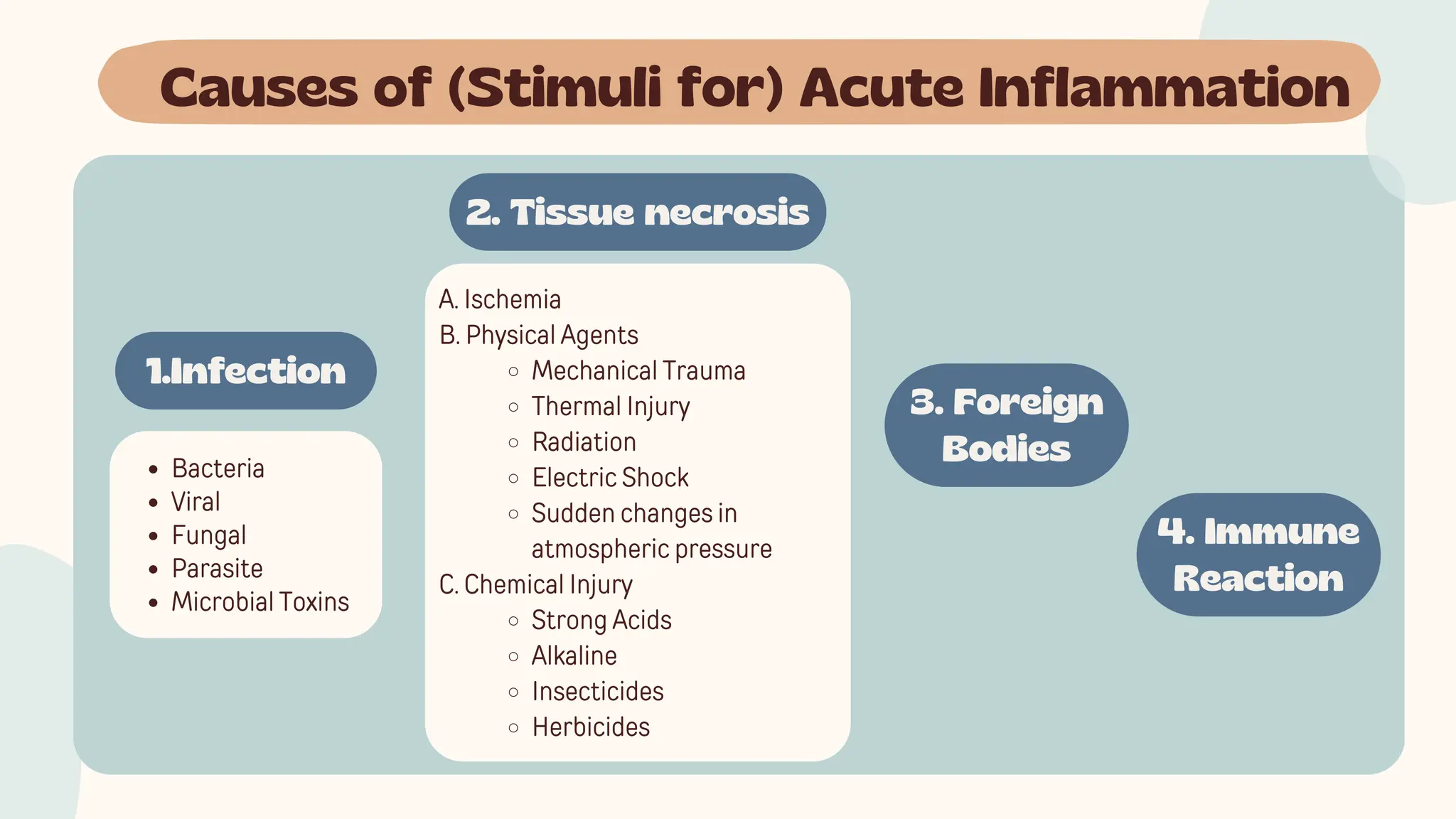 ACUTE INFLAMMATION - CAUSES, MECHANISMS, CARDINAL SIGNS, VASCULAR AND ...
