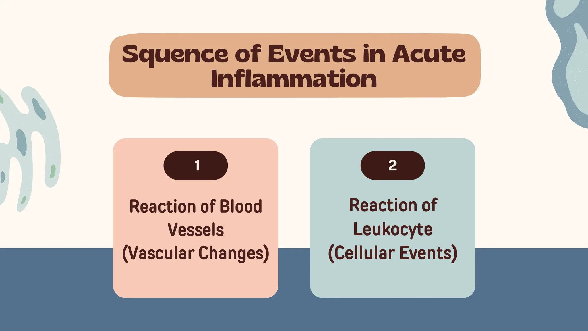ACUTE INFLAMMATION - CAUSES, MECHANISMS, CARDINAL SIGNS, VASCULAR AND ...