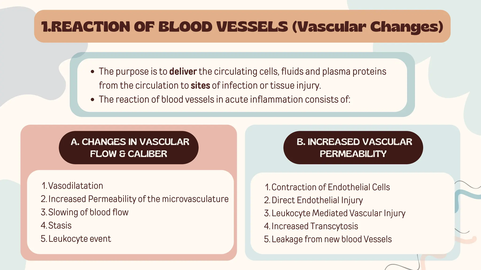 ACUTE INFLAMMATION - CAUSES, MECHANISMS, CARDINAL SIGNS, VASCULAR AND ...