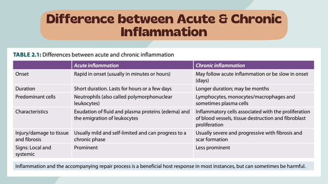 ACUTE INFLAMMATION - CAUSES, MECHANISMS, CARDINAL SIGNS, VASCULAR AND ...