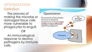 Acute inflammatiom, inflammation, acute pptx | PPTX