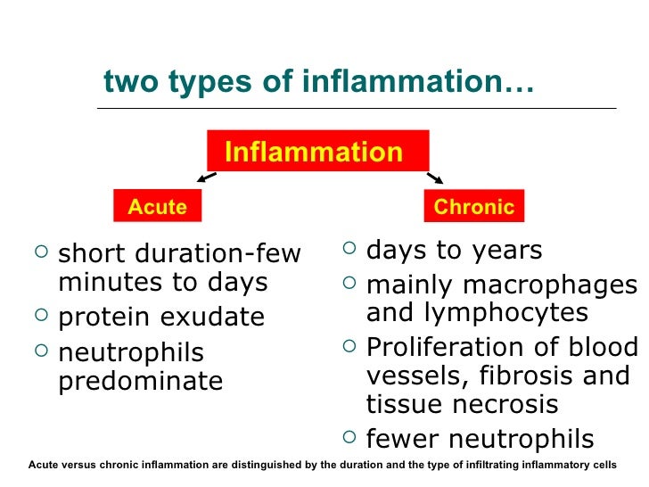 Acute inflammation