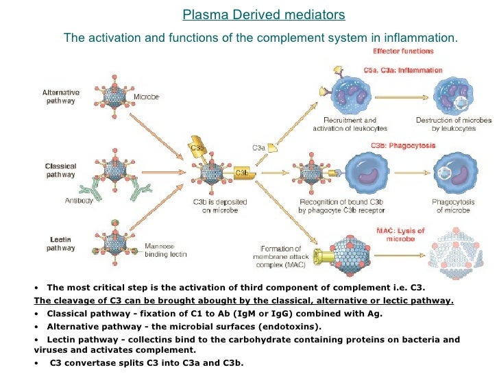 Acute inflammation
