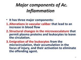 Acute inflammation by Dr Mohammad Manzoor Mashwani | PPT