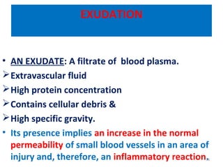 Acute inflammation by Dr Mohammad Manzoor Mashwani | PPT