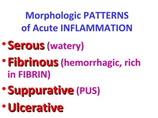 Acute inflammation by Dr Mohammad Manzoor Mashwani | PPT