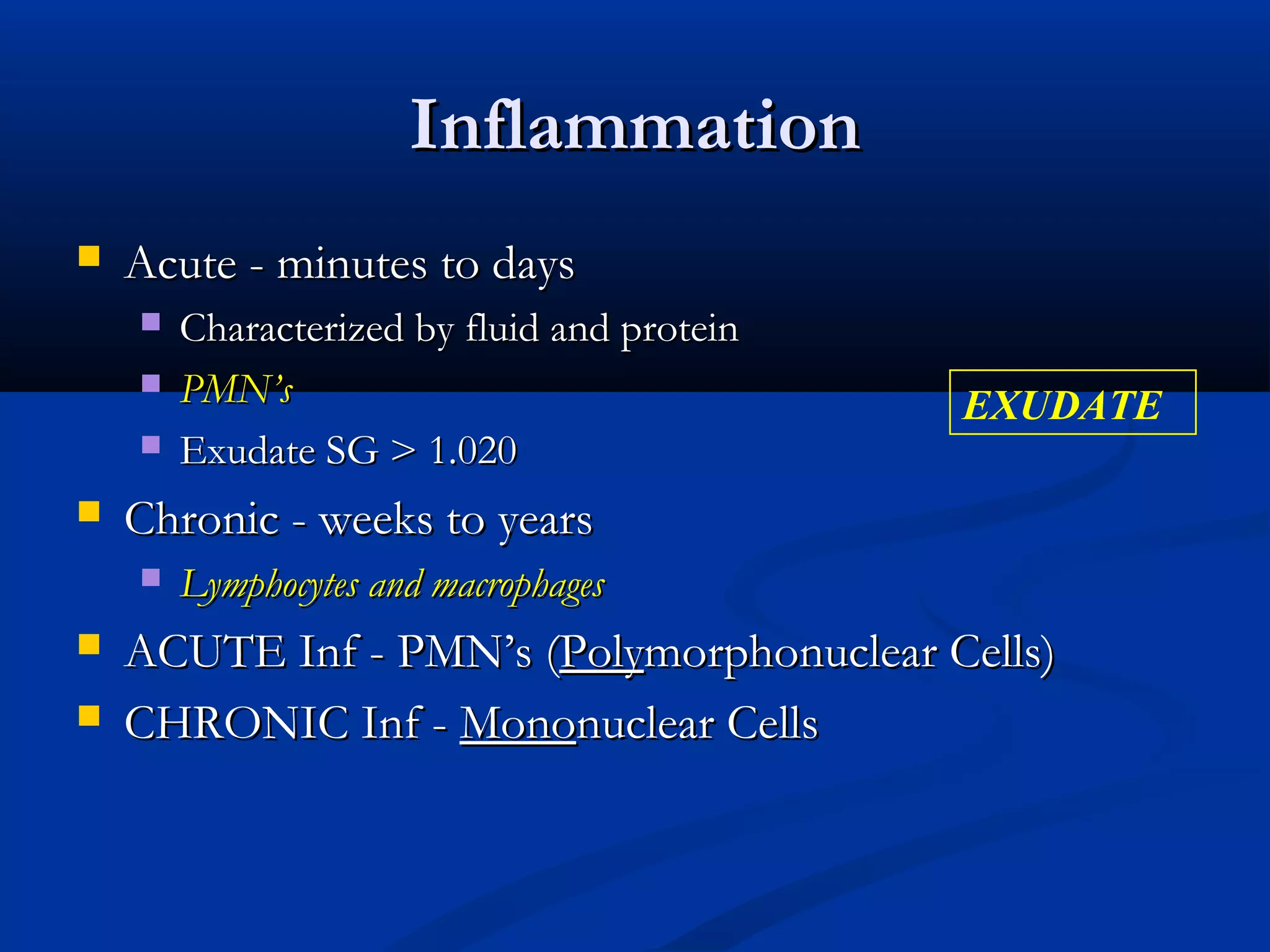 Acute inflammation | PPT