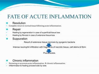 acuteinflammation-161003171647.pptx