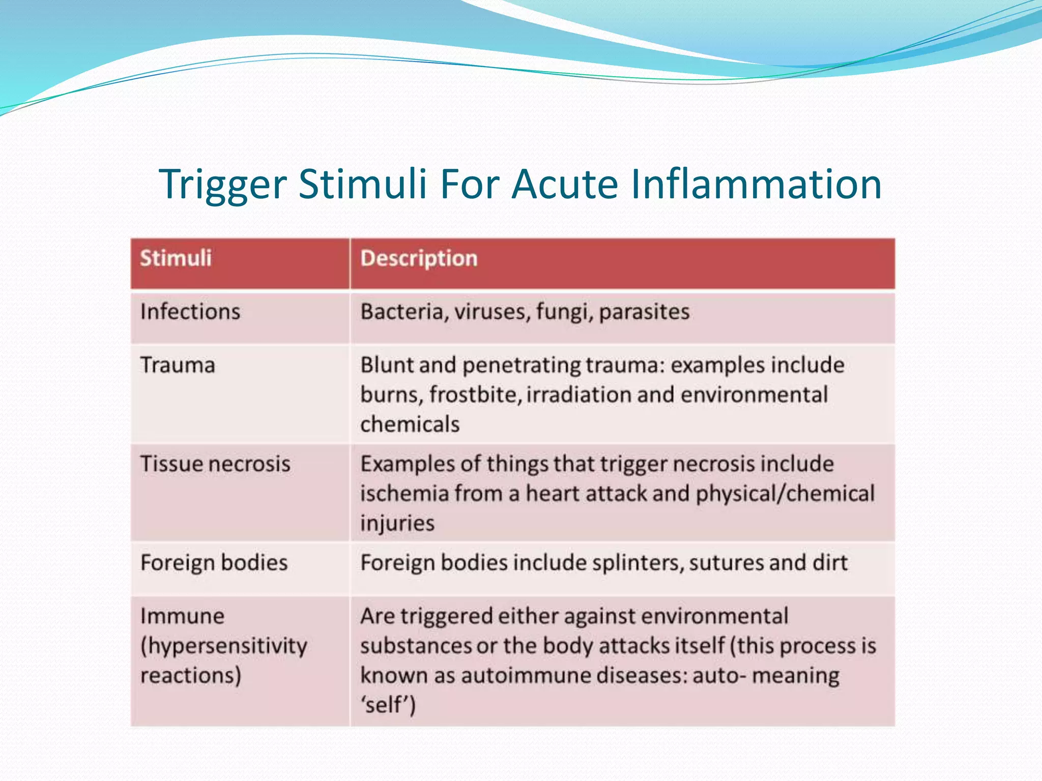 Acute inflammation | PPTX | Blood Disorders | Diseases and Conditions