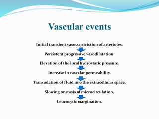 Acute inflammation | PPTX