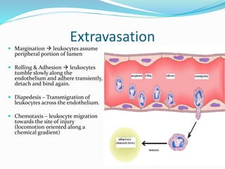 Acute inflammation in pathologic basis of diseases | PPT