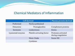 Acute inflammation in pathologic basis of diseases | PPT