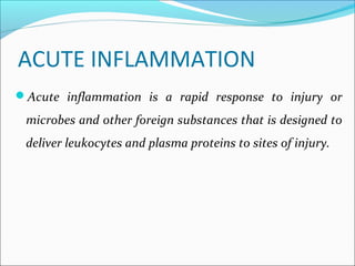 Acute inflammation(pathology) | PPT