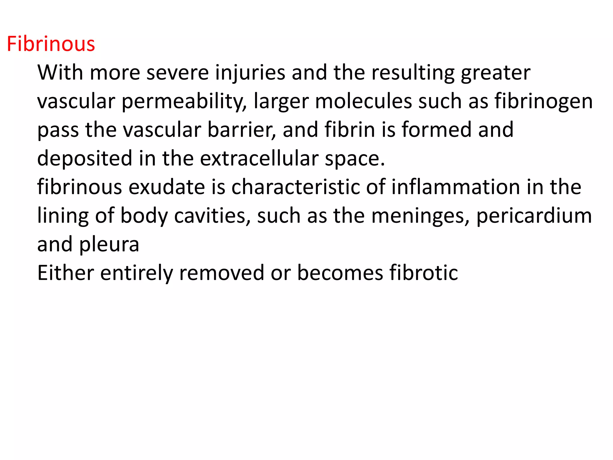 Acute inflammation | PPTX | Blood Disorders | Diseases and Conditions