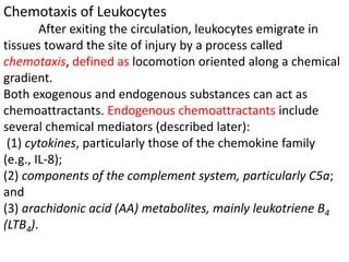 Acute inflammation | PPTX | Blood Disorders | Diseases and Conditions