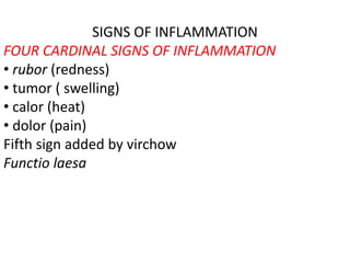 Acute inflammation | PPTX | Blood Disorders | Diseases and Conditions