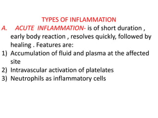Acute inflammation | PPT