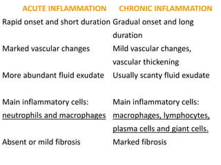 Acute inflammation | PPT