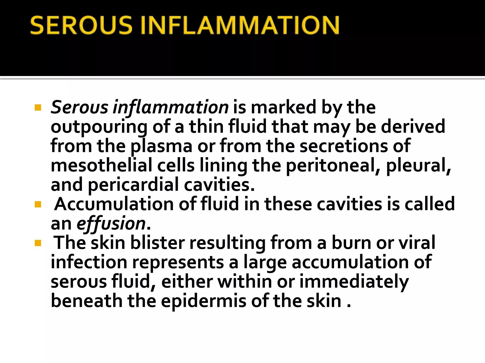 Acute inflammation | PPTX | Blood Disorders | Diseases and Conditions