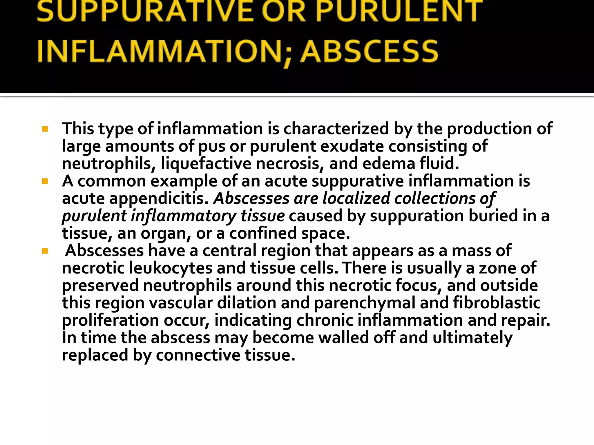 Acute inflammation | PPTX | Blood Disorders | Diseases and Conditions
