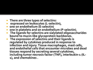 Acute inflammation | PPTX | Blood Disorders | Diseases and Conditions