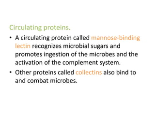 Acute Inflammation | PPT