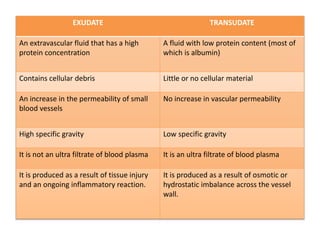 Acute Inflammation | PPT