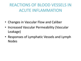 Acute Inflammation | PPT