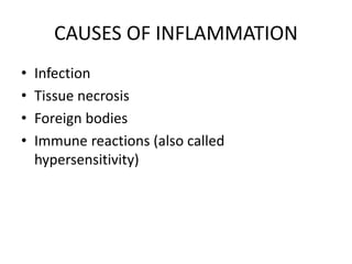 Acute Inflammation | PPT