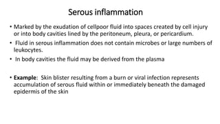 acute inflammation.pptx