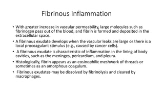acute inflammation.pptx