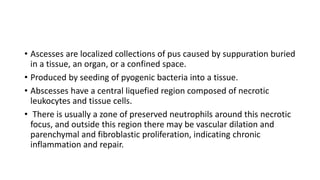 acute inflammation.pptx