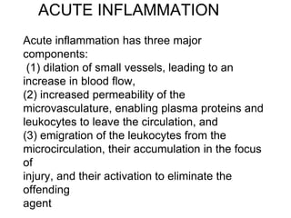 ACUTE INFLAMMATION.pptx