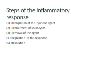 acuteinflammationacuteinflammation.pptxacuteinflammation.pptx