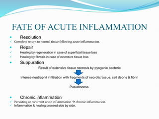Acute Inflammation.pptx pathology 1 for medical students | PPTX
