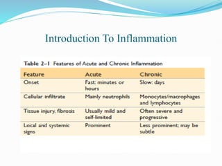 Acute Inflammation.pptx pathology 1 for medical students | PPTX