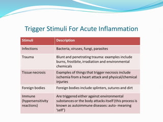 Acute Inflammation.pptx pathology 1 for medical students | PPTX