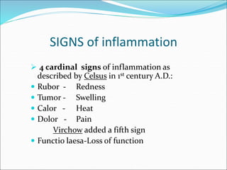 acute inflammation.pptnz. I. D. Id. Ie. I ecie cinxie. India neicb | PPT