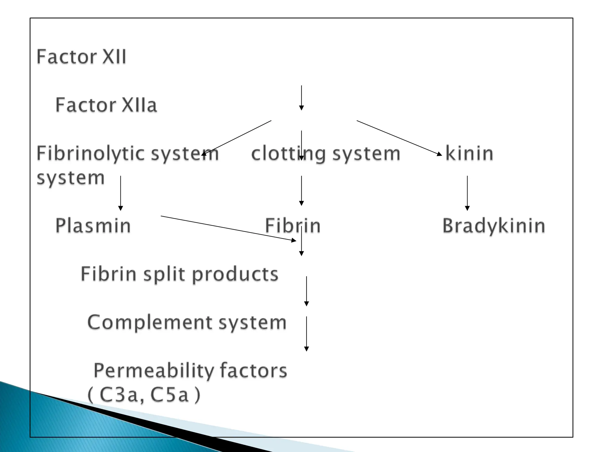 ACUTE INFLAMMATIOn PAthology ppt free download | PPT