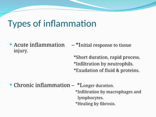 Acute Inflammation general pathology ppt | PPT