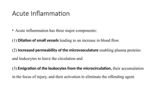 Acute Inflammation.power point presentations | PPTX