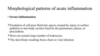 Acute Inflammation.power point presentations | PPTX