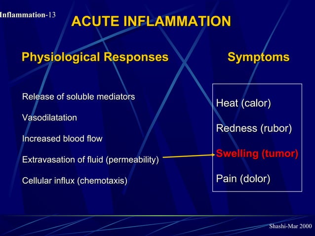 Pathology of Acute Inflammation | PPT | Blood Disorders | Diseases and ...