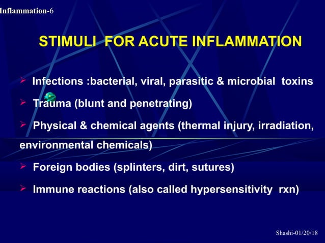 Pathology of Acute Inflammation | PPT | Blood Disorders | Diseases and ...