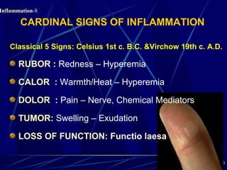 Pathology of Acute Inflammation | PPT