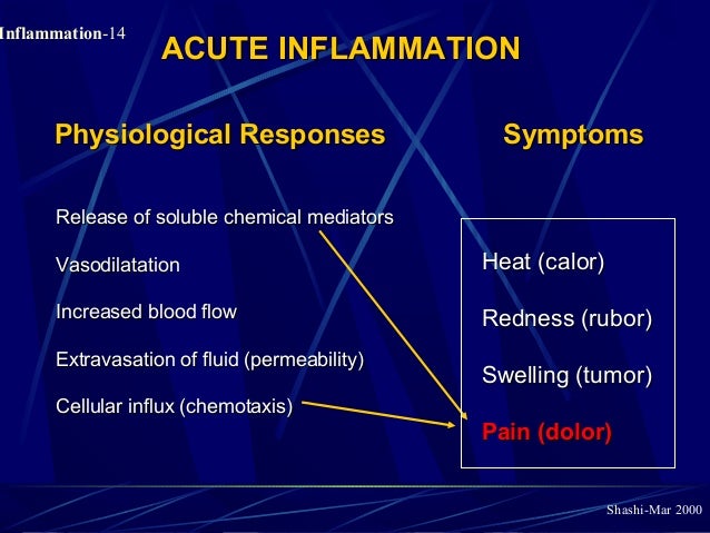 Pathology of Acute Inflammation