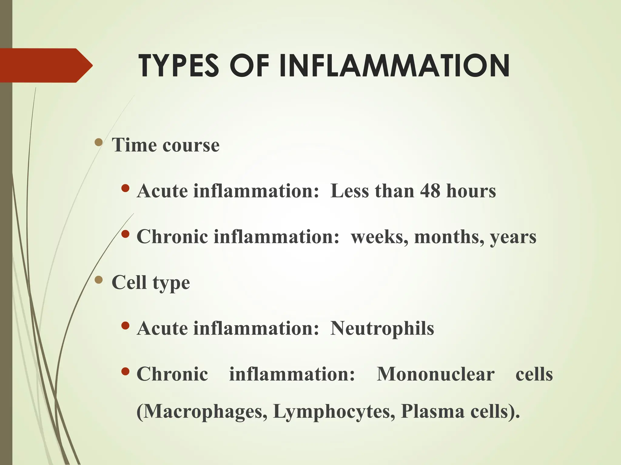 Acute Inflammation , chronic inflammation | PPT