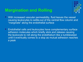 Acute Inflammation and cellular events in | PPT